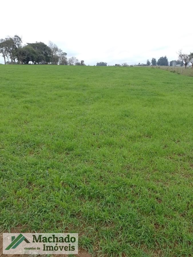 Fazenda para Venda, Santiago / RS, bairro Rural, área total 38,50 Hectares